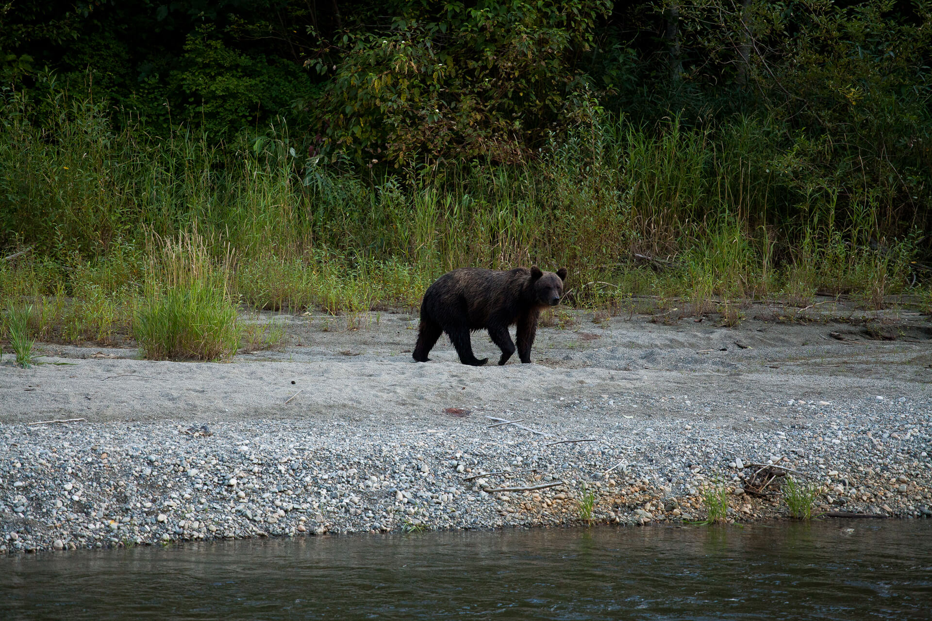 Images of Activities and Accommodations | Red Cariboo Resort » Red ...